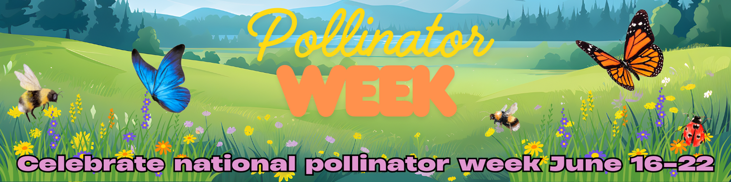 National Pollinator Week June 16-22 2025 – Flawn Seed Kits