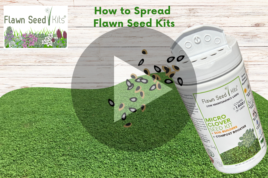 Flowering Lawn Flawn Seed Kits