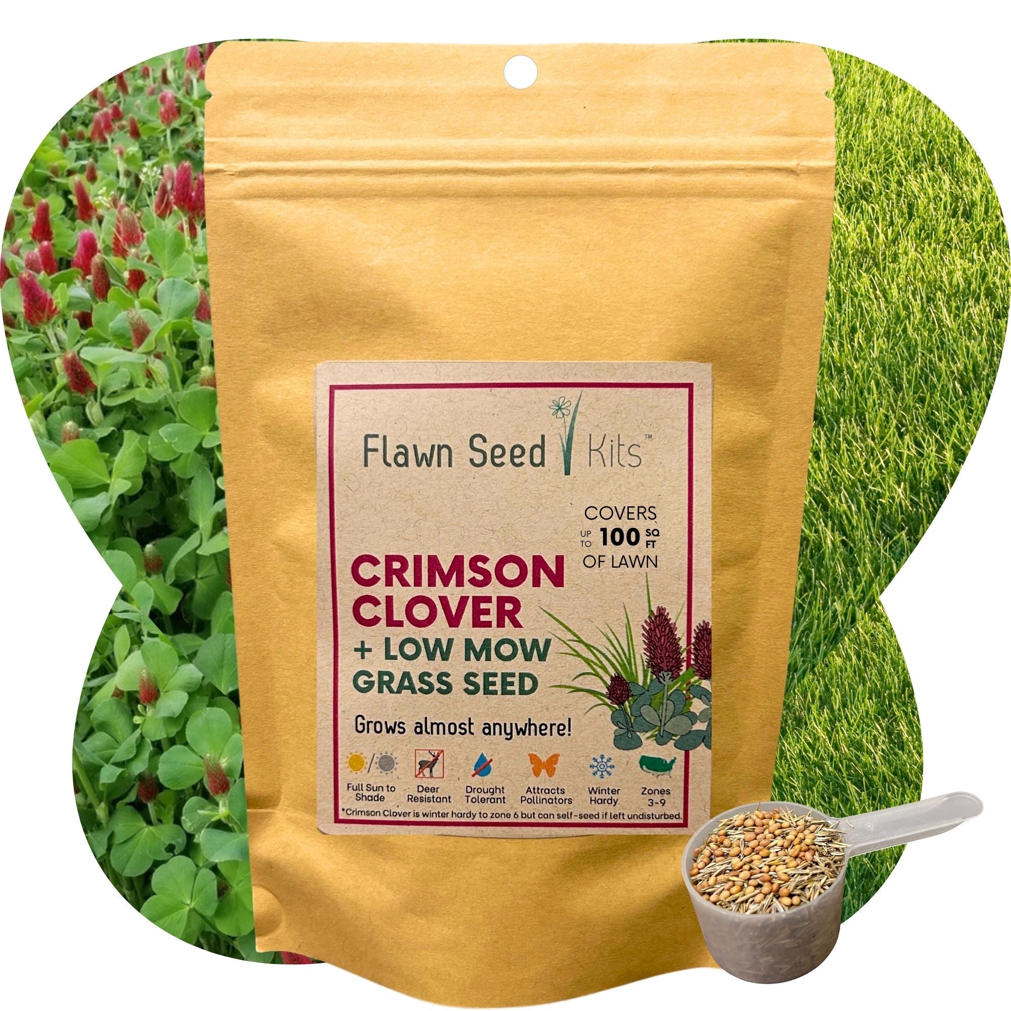 Flawn Seed Crimson Clover + Low Mow Grass Seed Kit - Kid, Pet ...