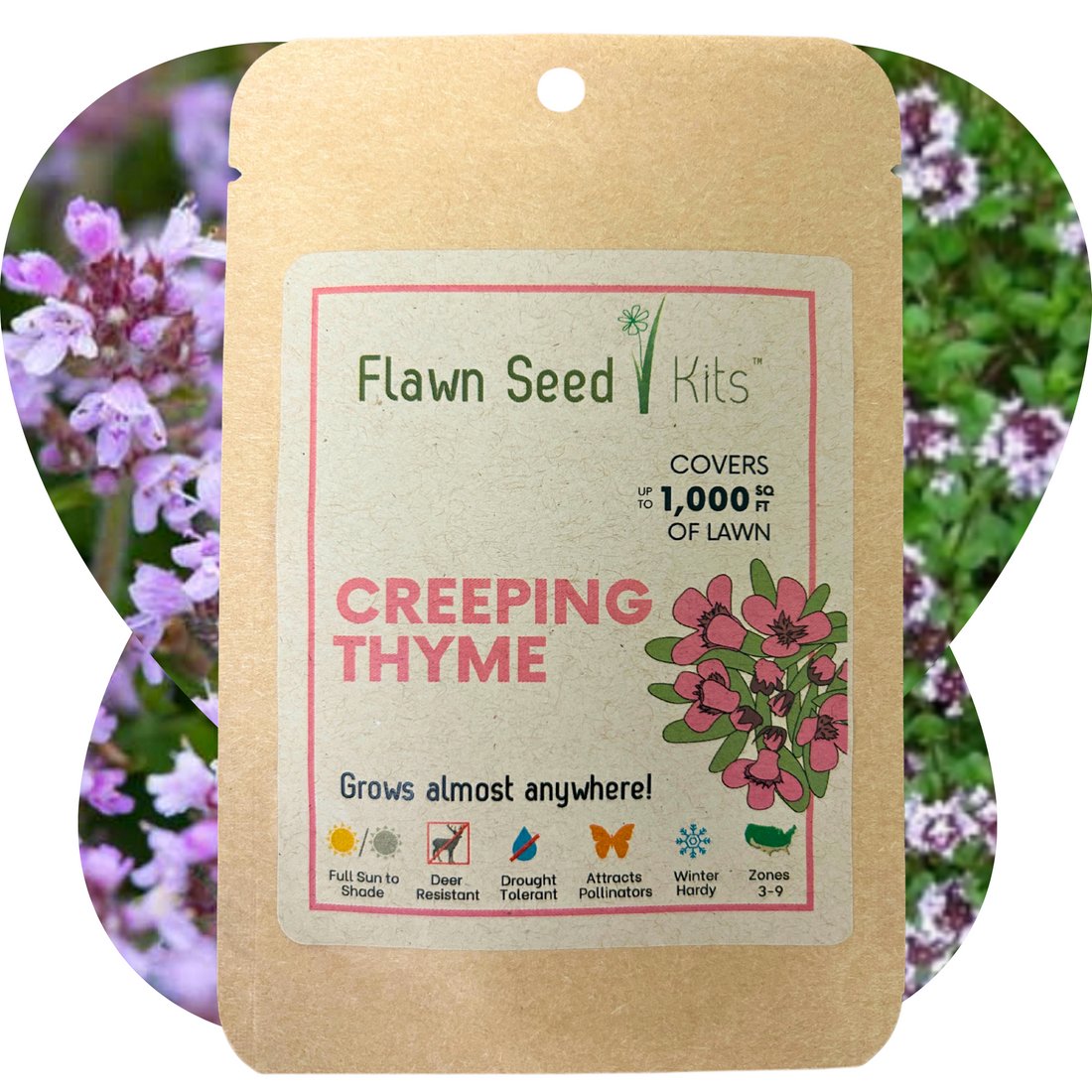 Flawn Seed Creeping Thyme Flowering Lawn Seed - Kid, Pet, Pollinator ...