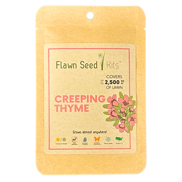 Flawn Seed Creeping Thyme Flowering Lawn Seed - Kid, Pet, Pollinator ...