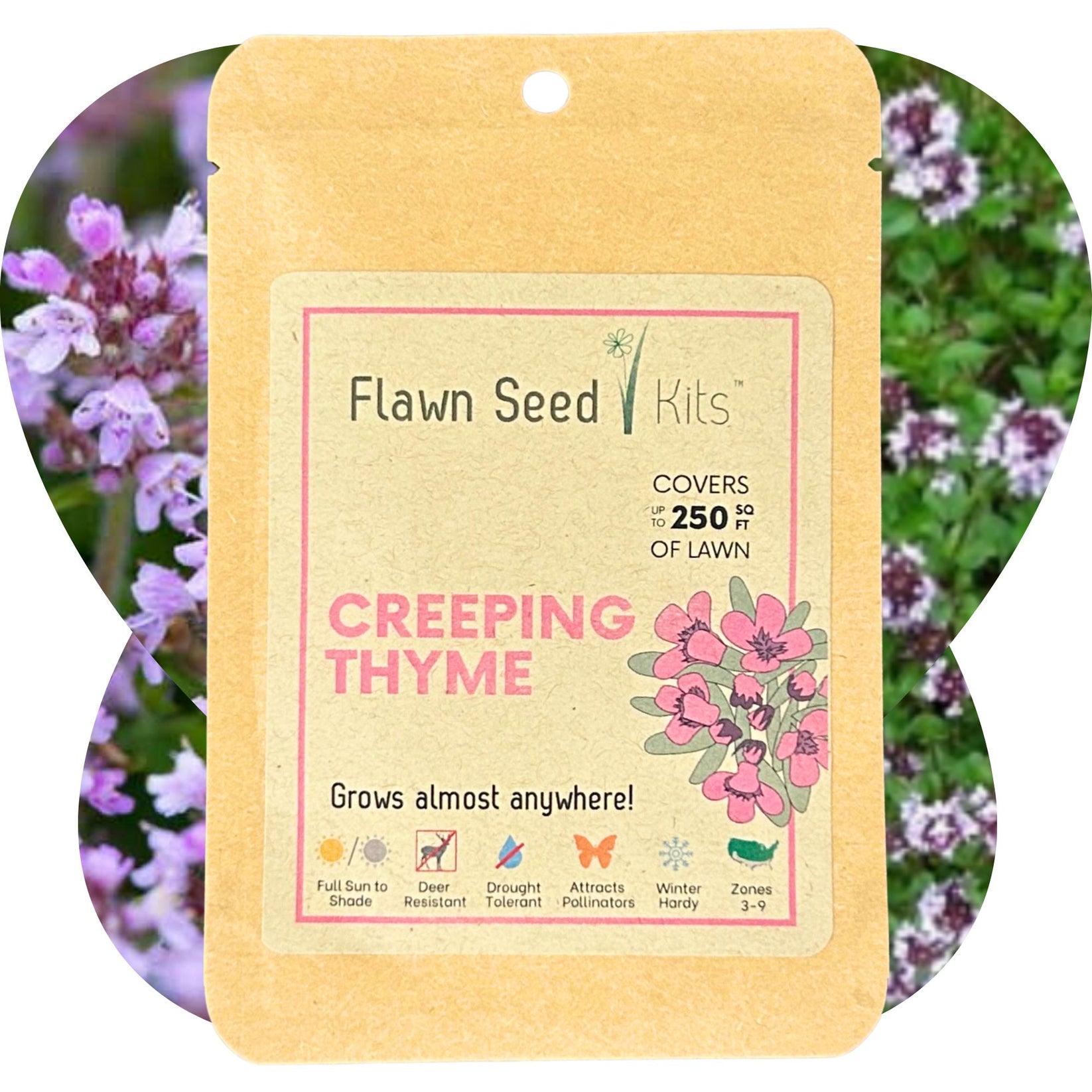 Flawn Seed Creeping Thyme Flowering Lawn Seed - Kid, Pet, Pollinator ...