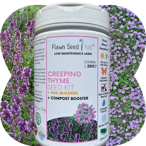 Creeping Thyme Easy Spread Shaker – Flawn Seed Kits