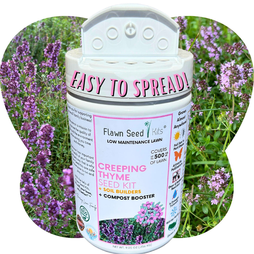 Creeping Thyme Easy Spread Shaker – Flawn Seed Kits