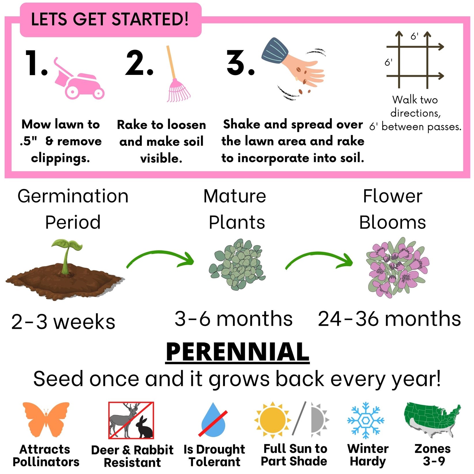 Flawn Seed Creeping Thyme Flowering Lawn Seed - Kid, Pet, Pollinator ...