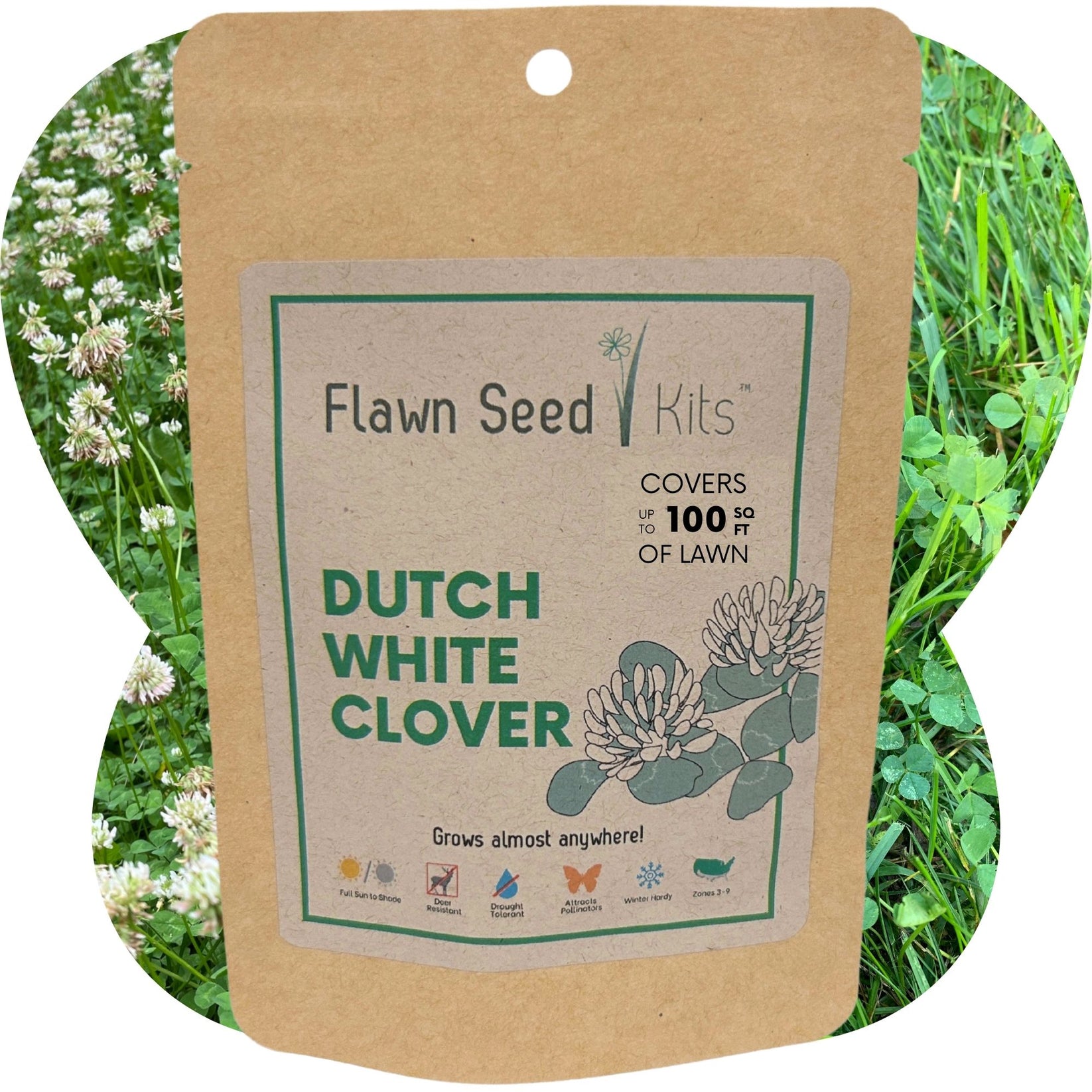 Flawn Seed Dutch White Clover Flowering Lawn Seed - Kid, Pet ...