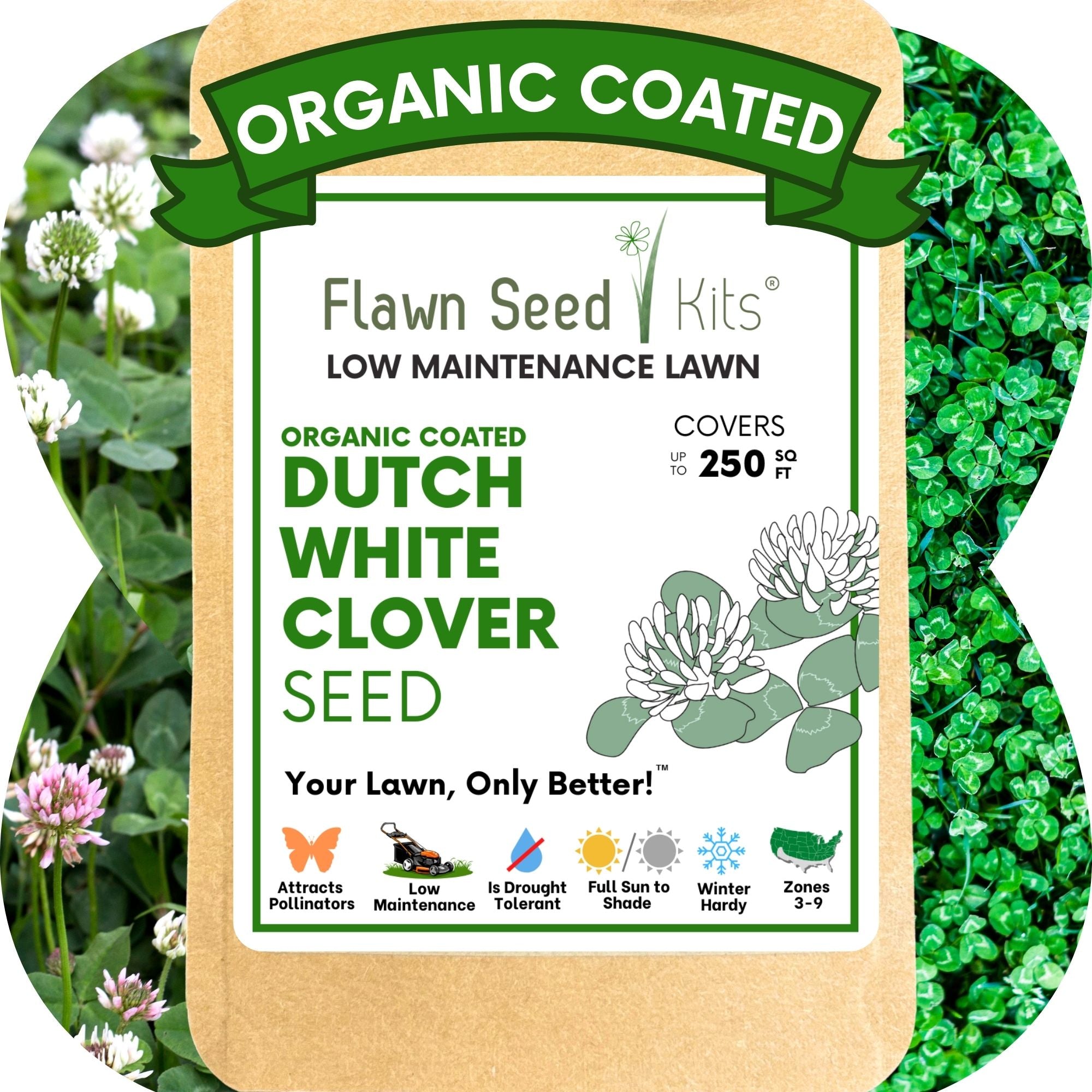 Flawn Seed Dutch White Clover Flowering Lawn Seed - Kid, Pet ...