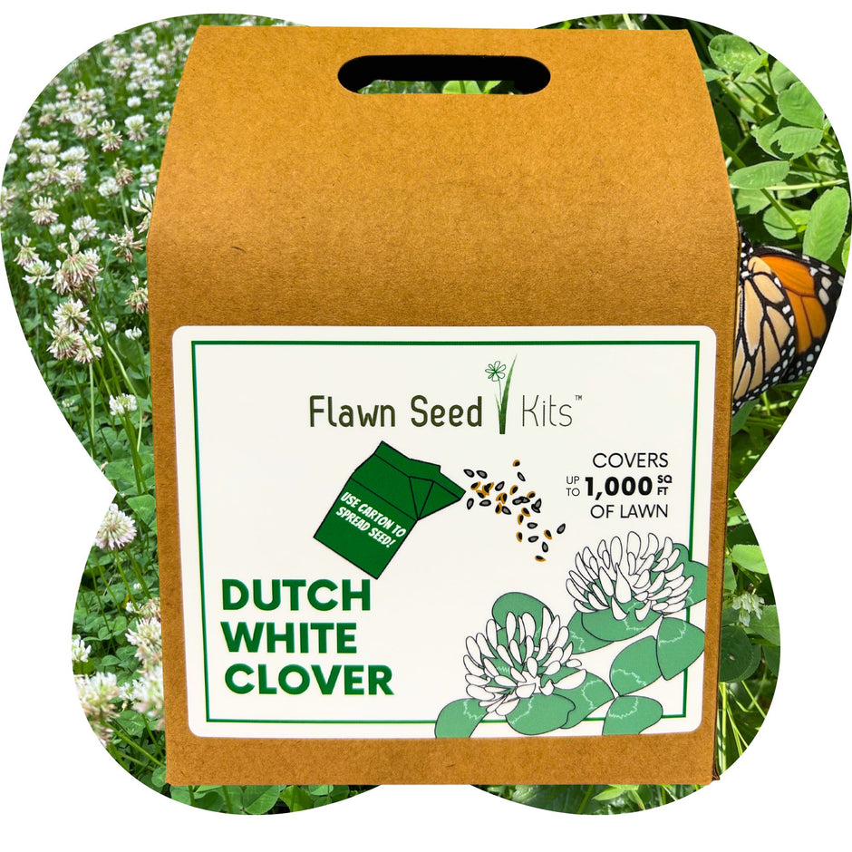 Kits – Flawn Seed Kits
