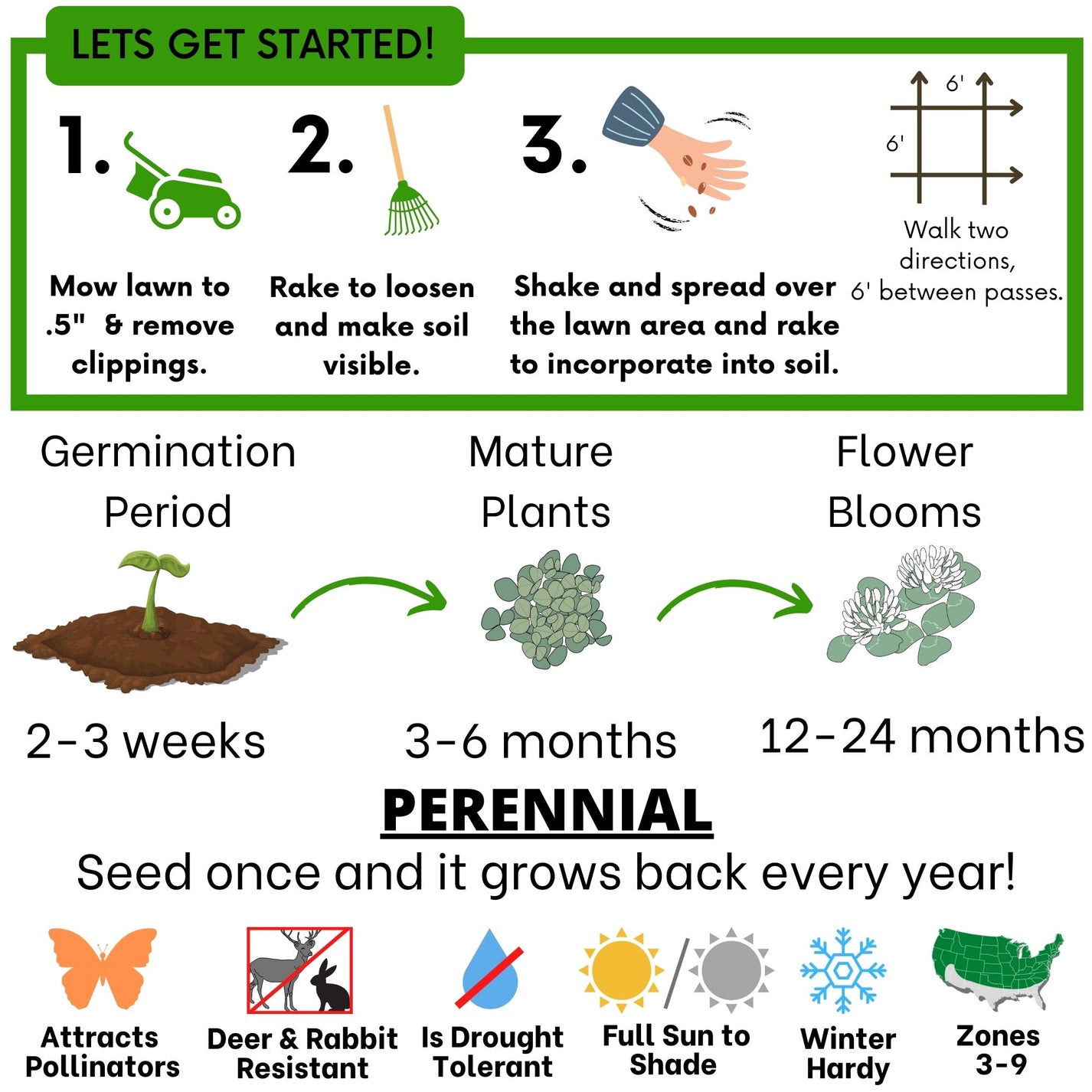 Flawn Seed Dutch White Clover Flowering Lawn Seed - Kid, Pet ...