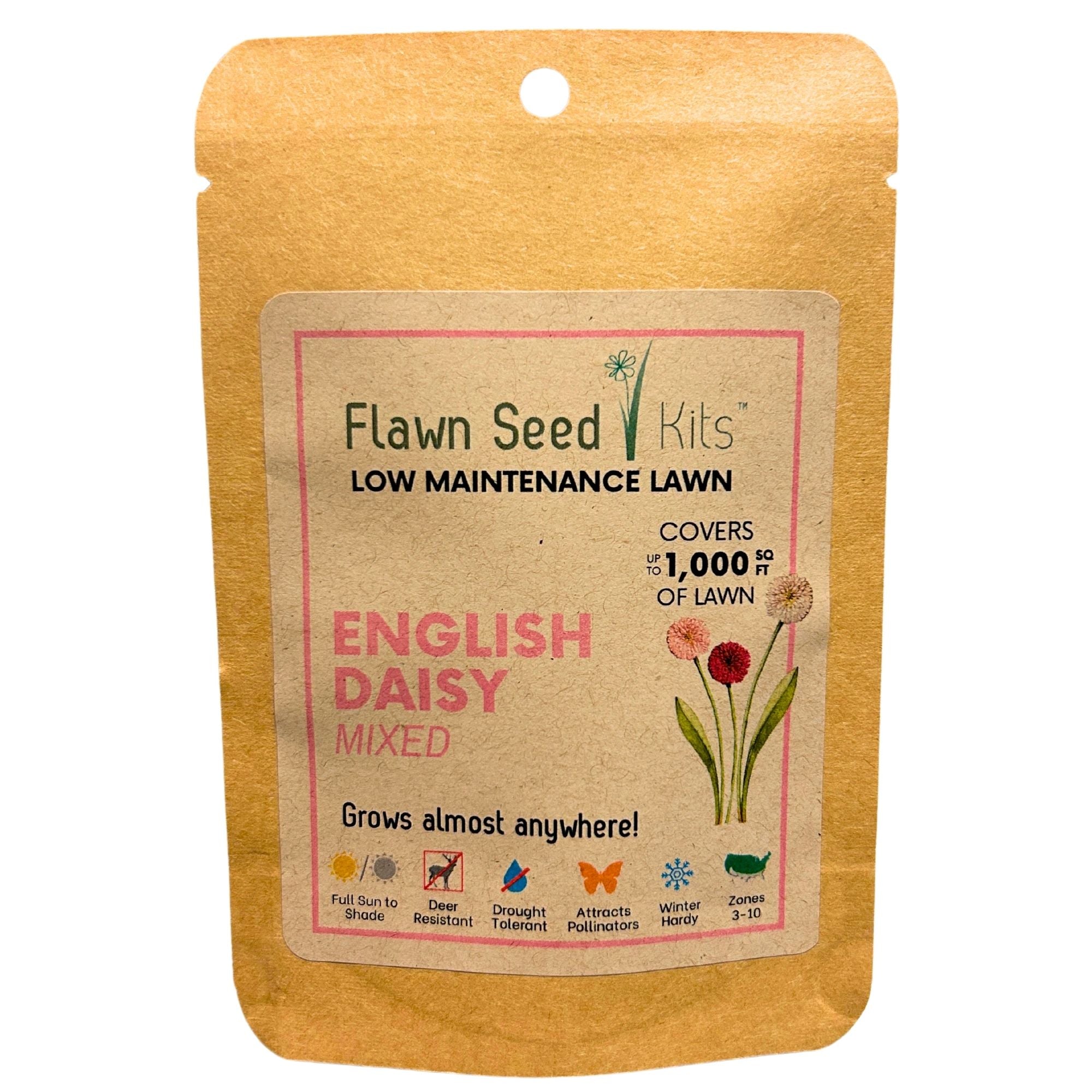Flawn Seed Mixed Daisy Flowering Lawn Seed - Kid, Pet, Pollinator & Eco ...