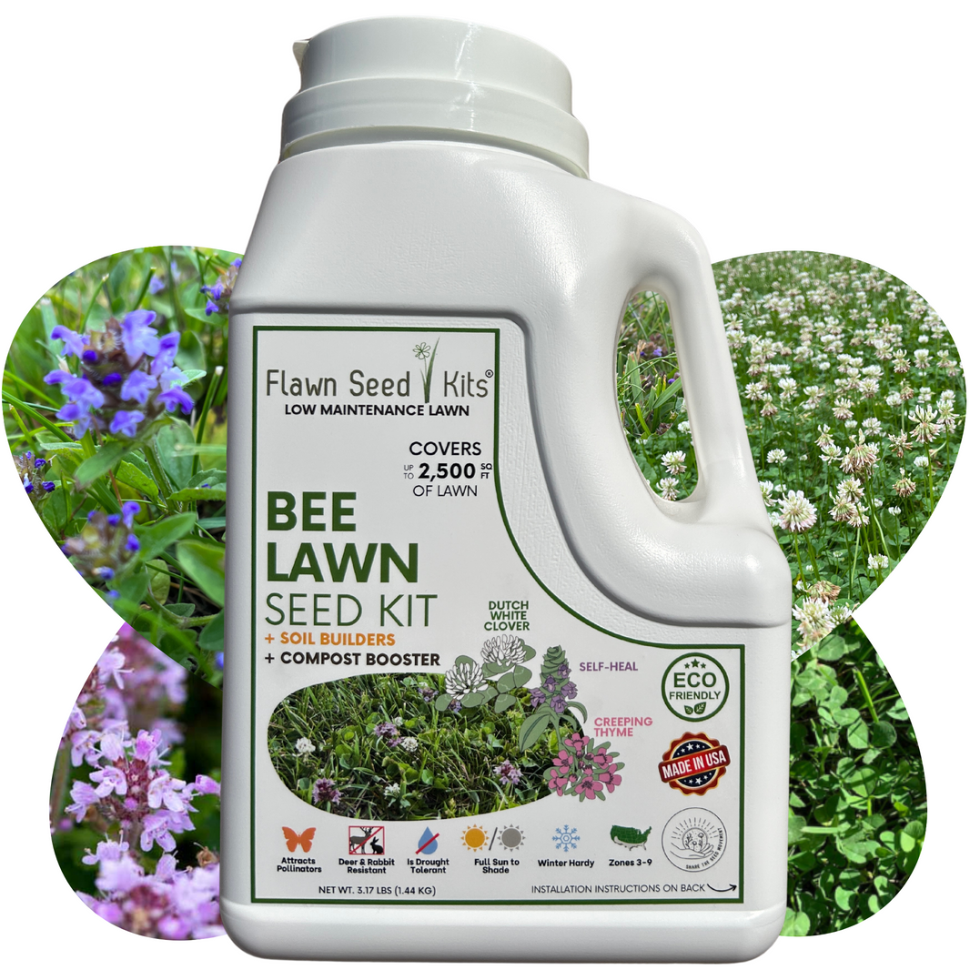 Flowering Lawn Flawn Seed Kits