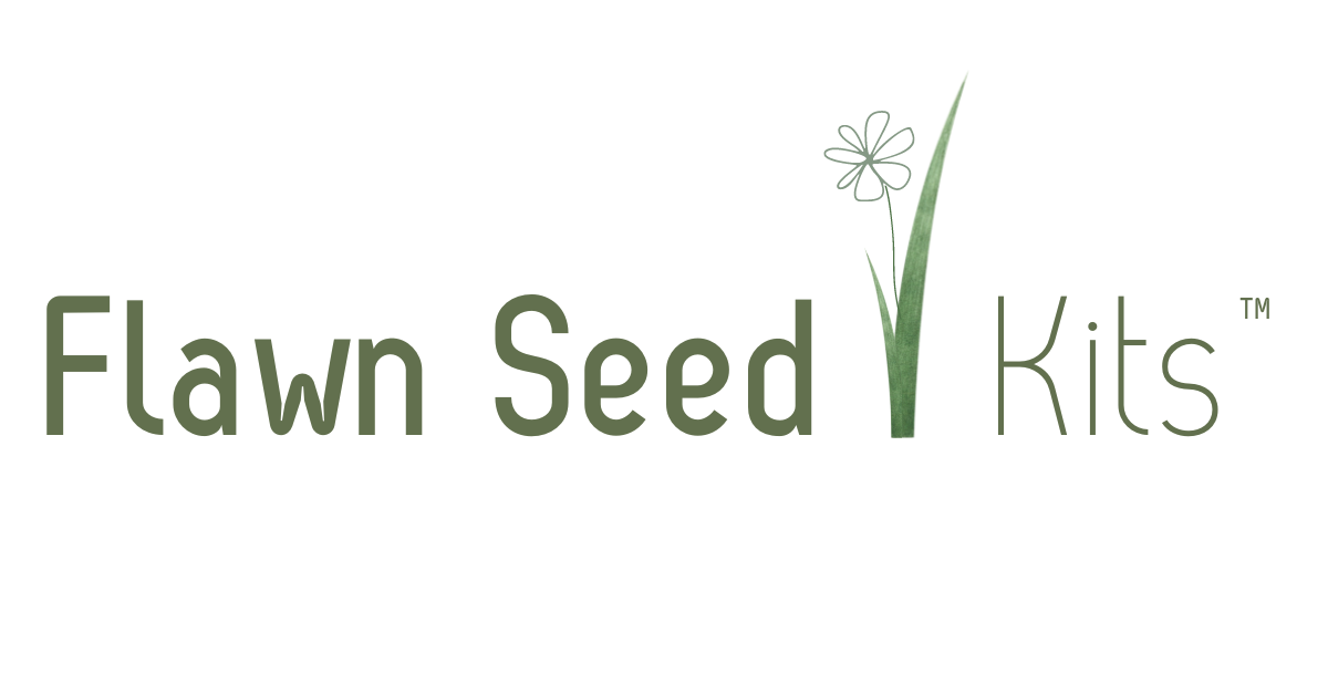 Flowering Lawn Flawn Seed Kits