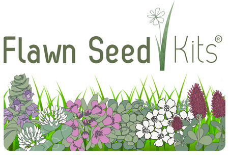 Flowering Lawn Flawn Seed Kits
