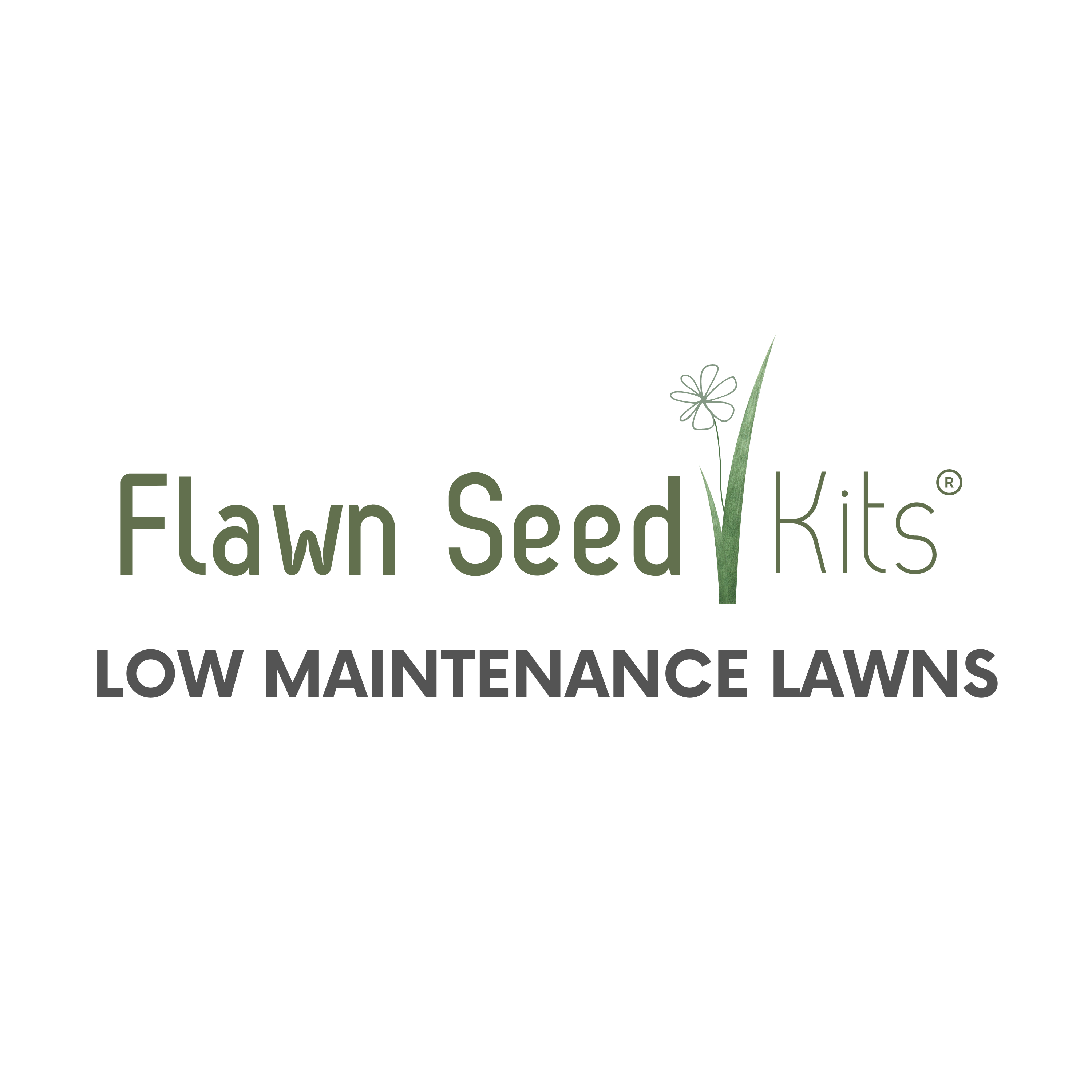 Flowering Lawn Flawn Seed Kits