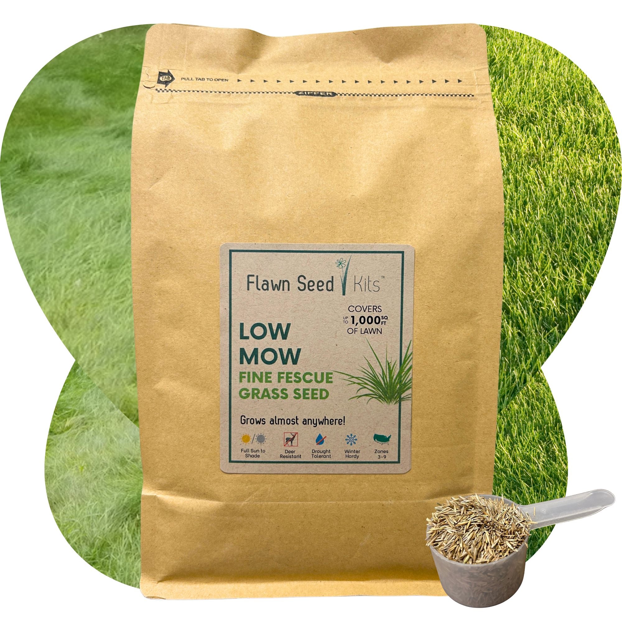 Mow Less Grass Seed Kit - Kid, Pet, Pollinator & Eco-Friendly Grass ...