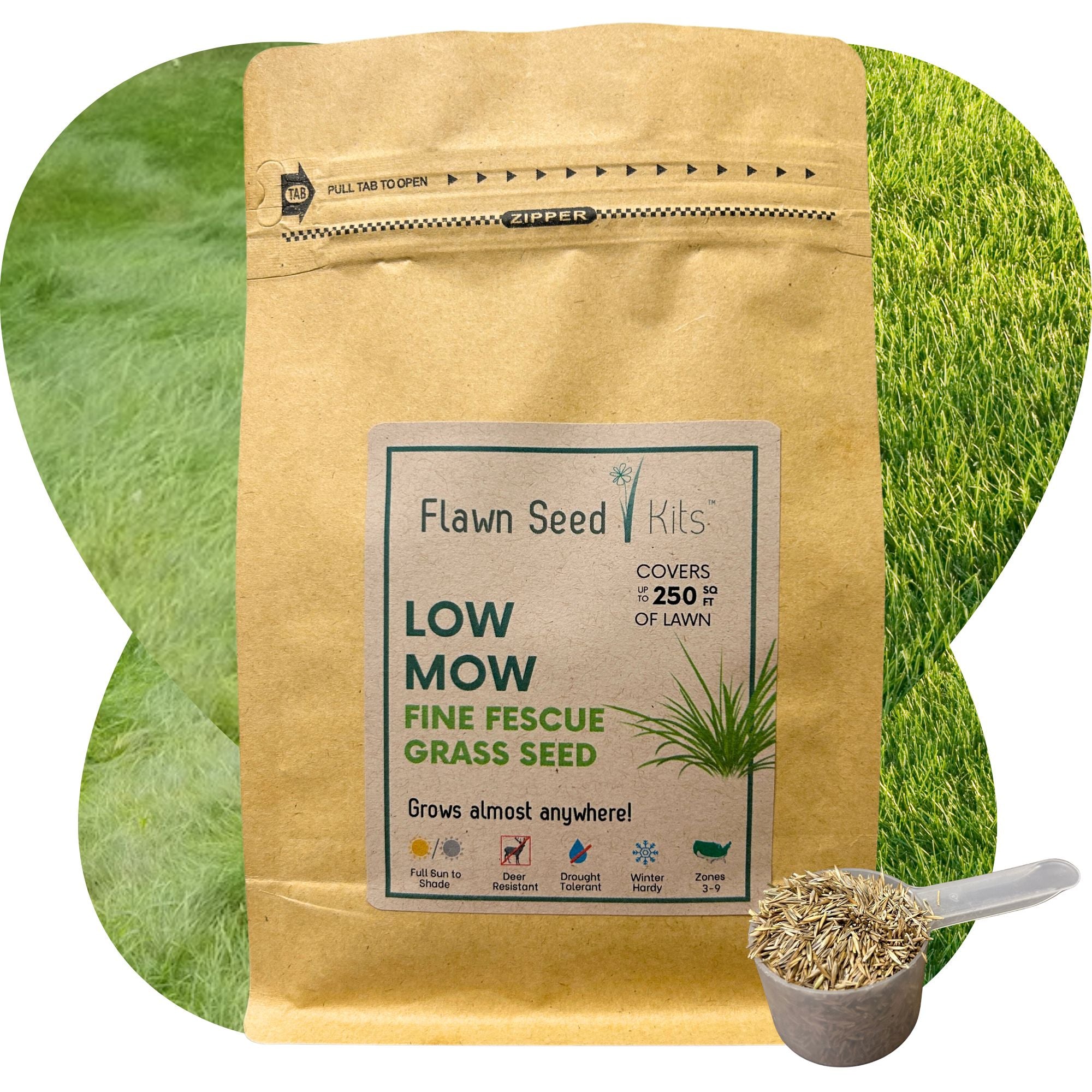 Mow Less Grass Seed Kit - Kid, Pet, Pollinator & Eco-Friendly Grass ...