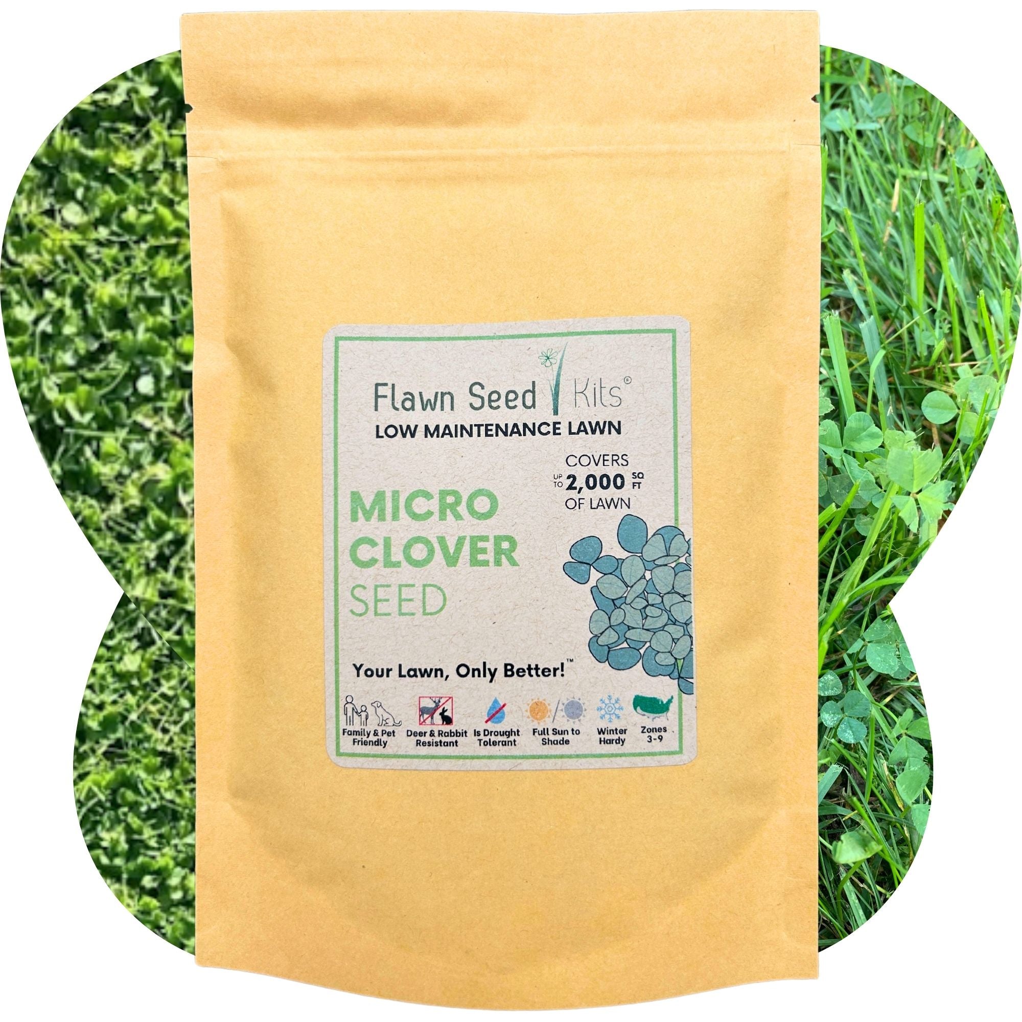 Flawn Seed Micro Clover Flowering Lawn Seed - Kid, Pet, Pollinator ...