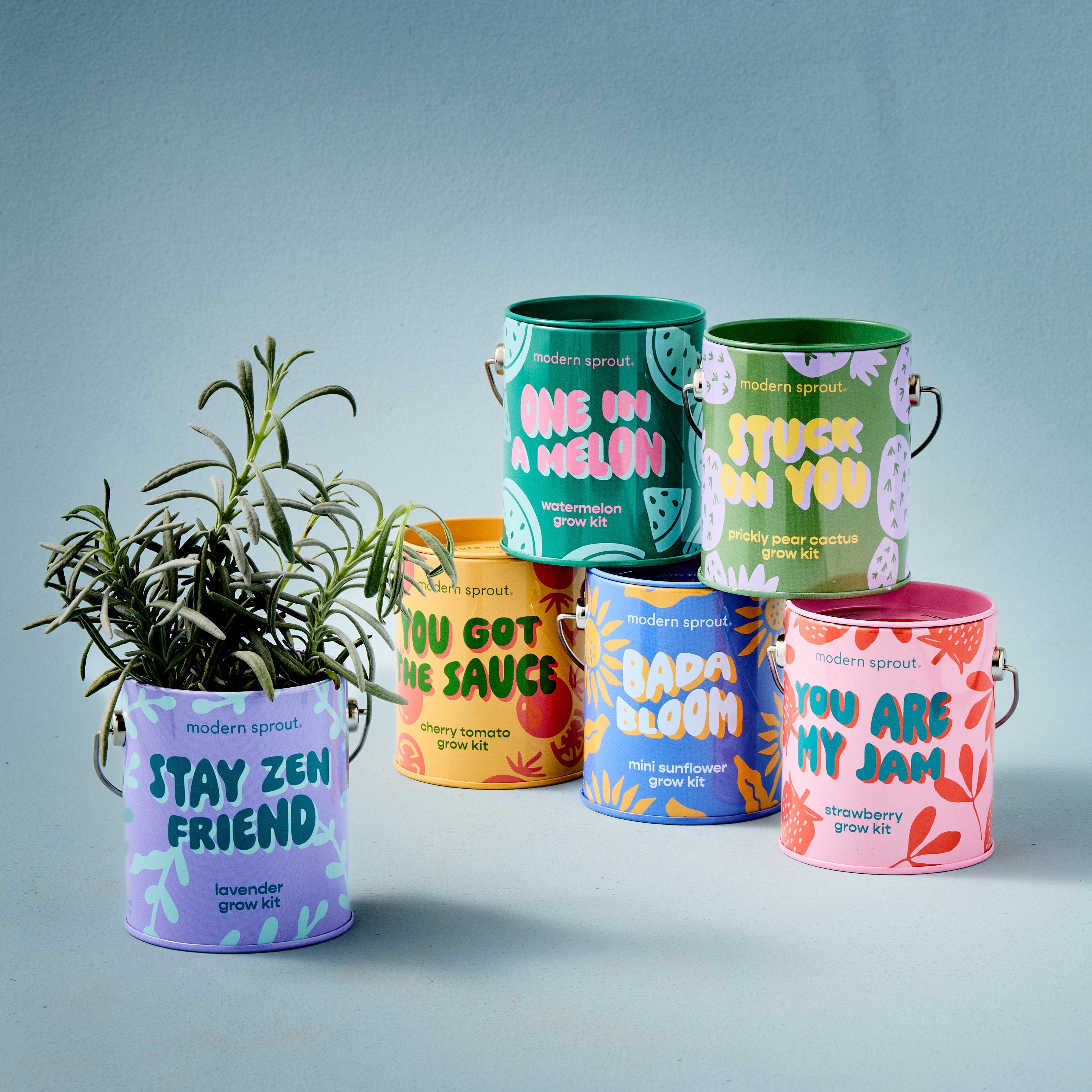Complimentary Colors Grow Kits – Flawn Seed Kits