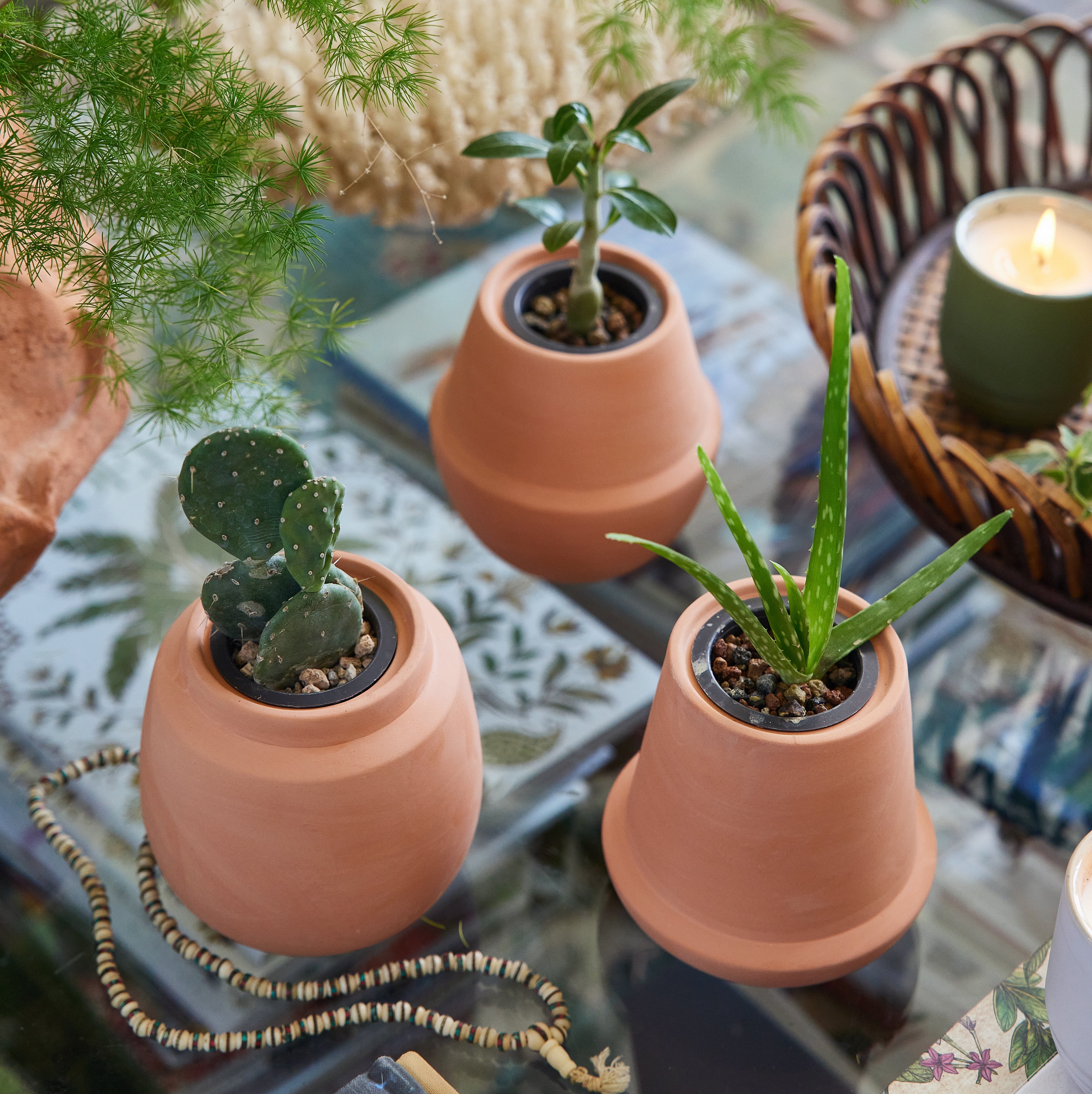 Modern Terracotta Grow Kits – Flawn Seed Kits