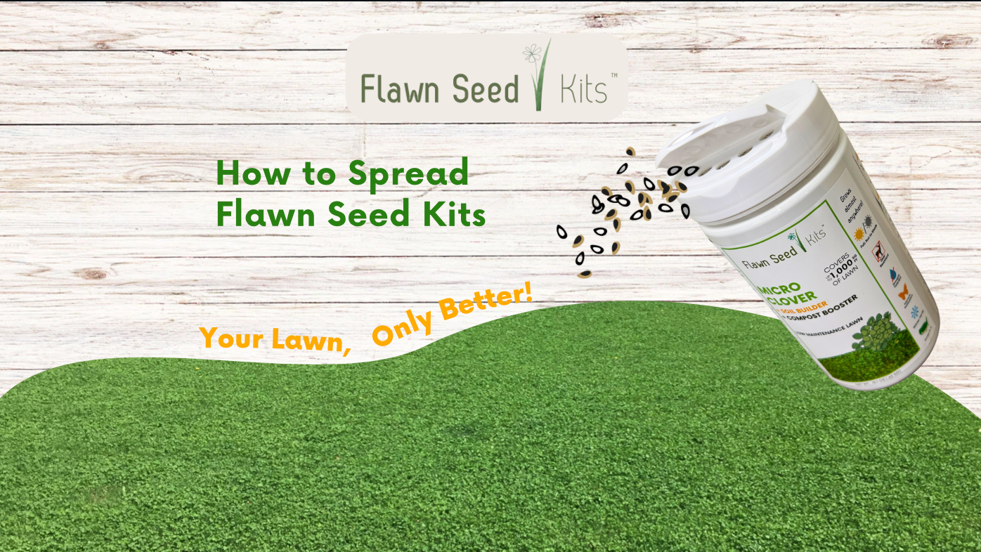 Flowering Lawn Flawn Seed Kits