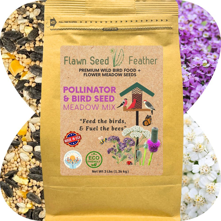 Premium Wild Bird Seed | Birding Subscription Boxes – Flawn Seed Kits