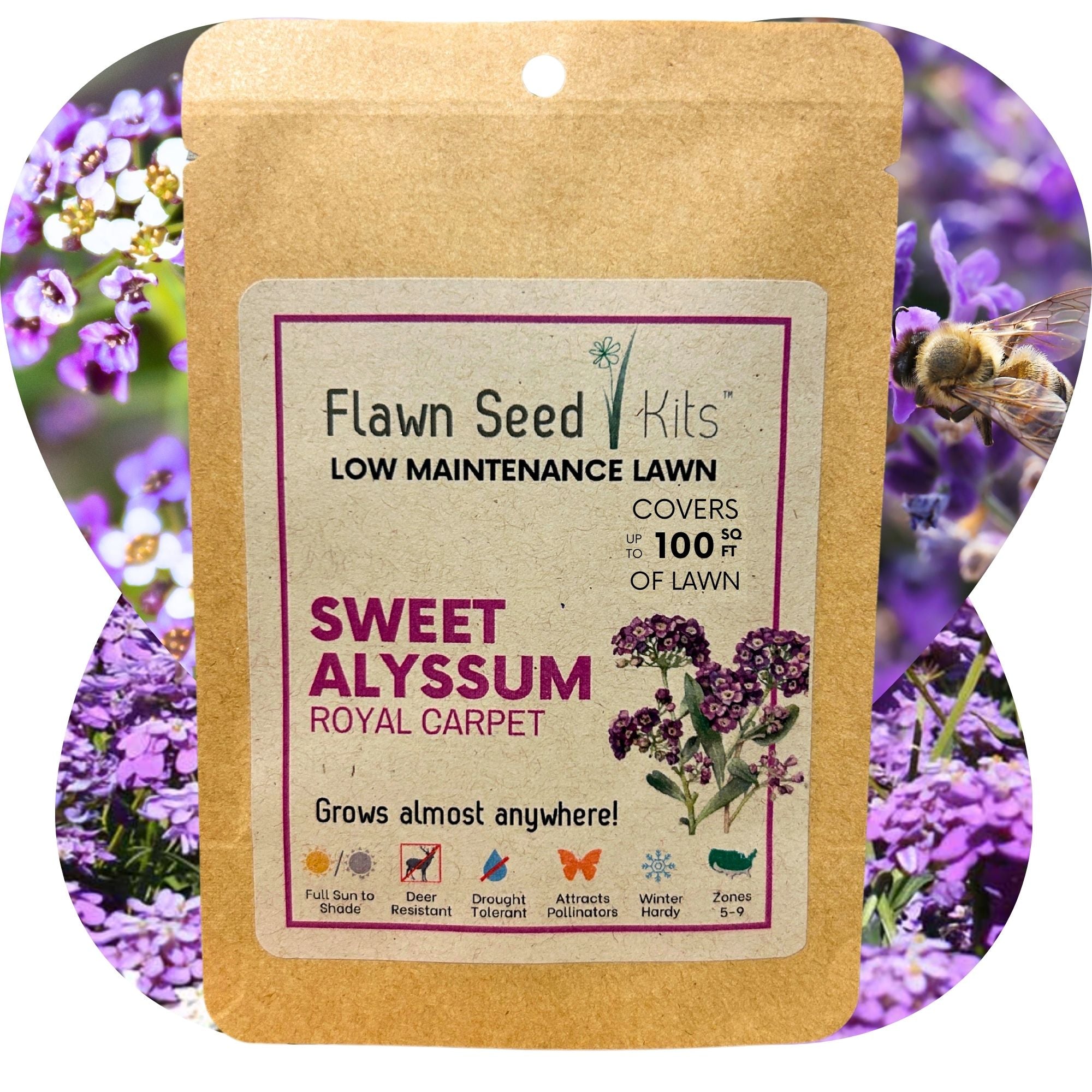 Flawn Seed Sweet Alyssum Royal Carpet Flowering Lawn Seed - Kid, Pet ...