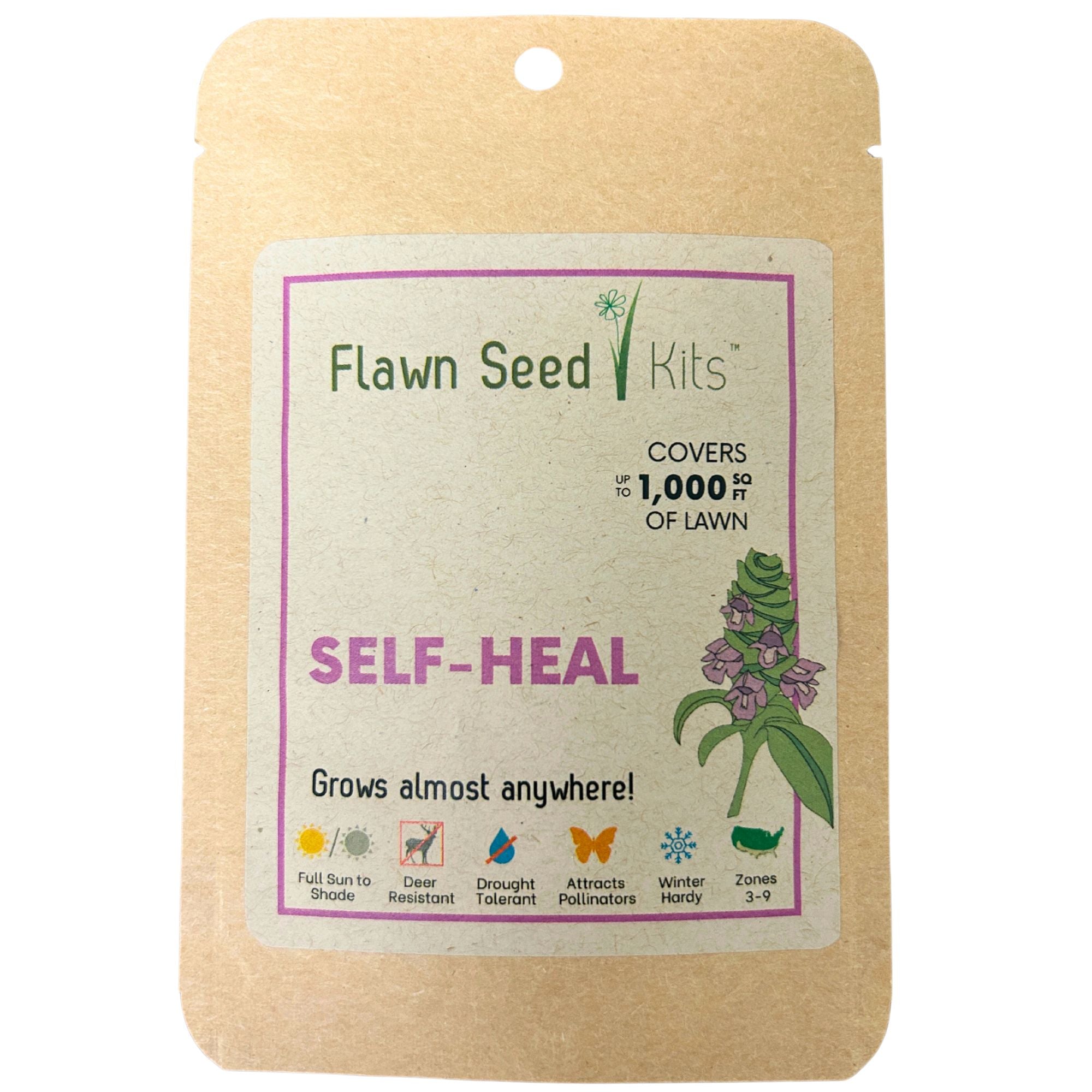 Flawn Seed Self-Heal Flowering Lawn Seed - Kid, Pet, Pollinator & Eco ...