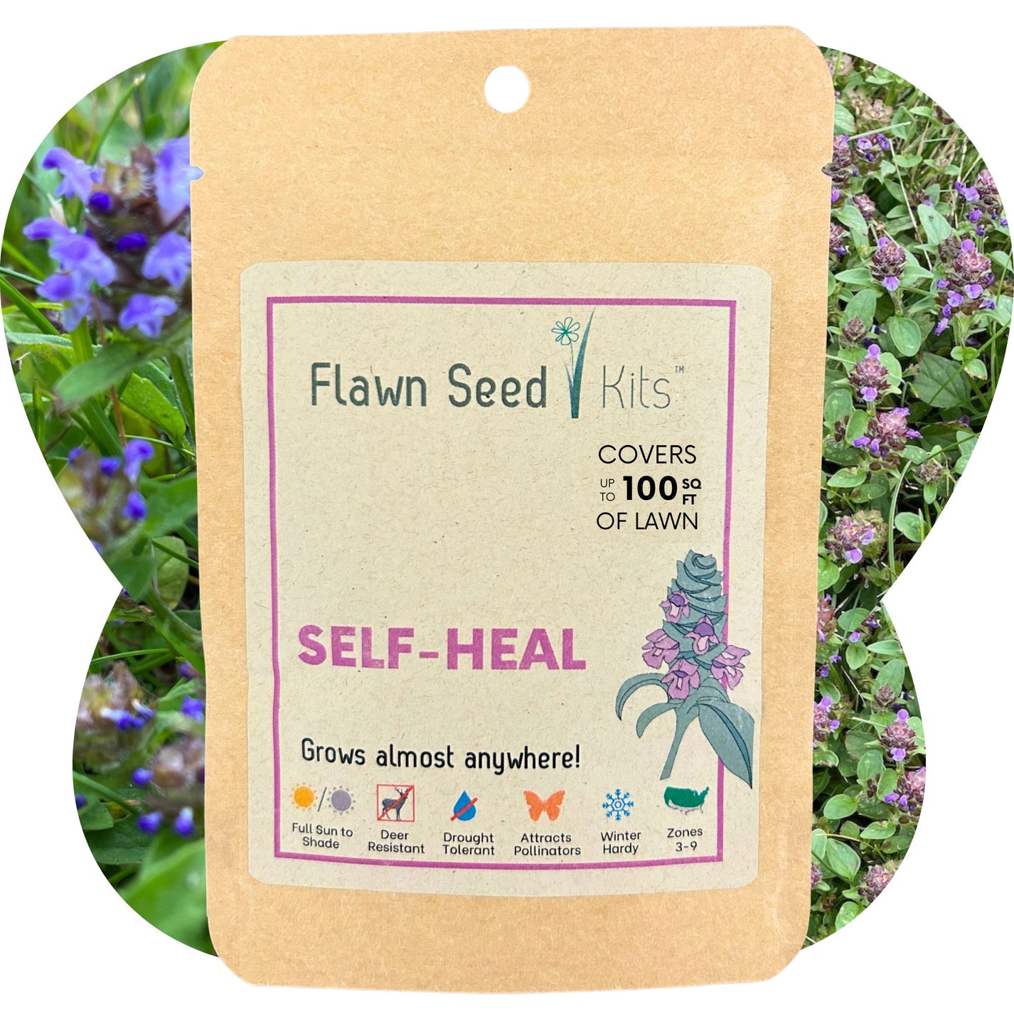 Flawn Seed Self-Heal Flowering Lawn Seed - Kid, Pet, Pollinator & Eco ...