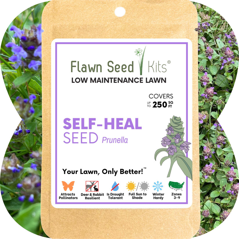 Flawn Seed Self-Heal Flowering Lawn Seed - Kid, Pet, Pollinator & Eco ...