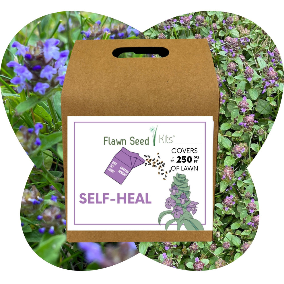 Self-Heal "Heal-All" Eco-Friendly Seeding Kit (Limited Time) – Flawn ...