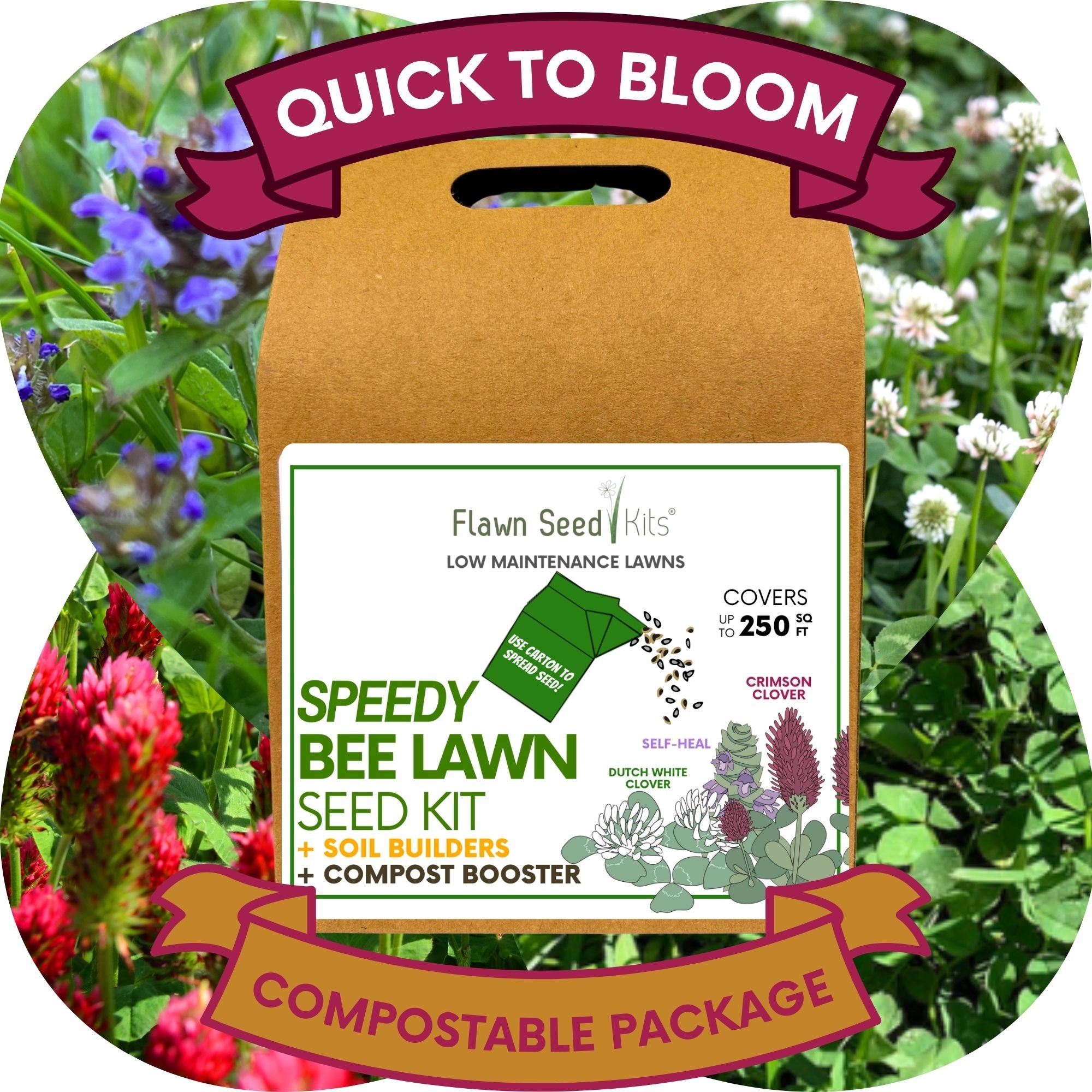 Speedy Bee Lawn Seed Kit - Kid, Pet, Pollinator & Eco-Friendly ...
