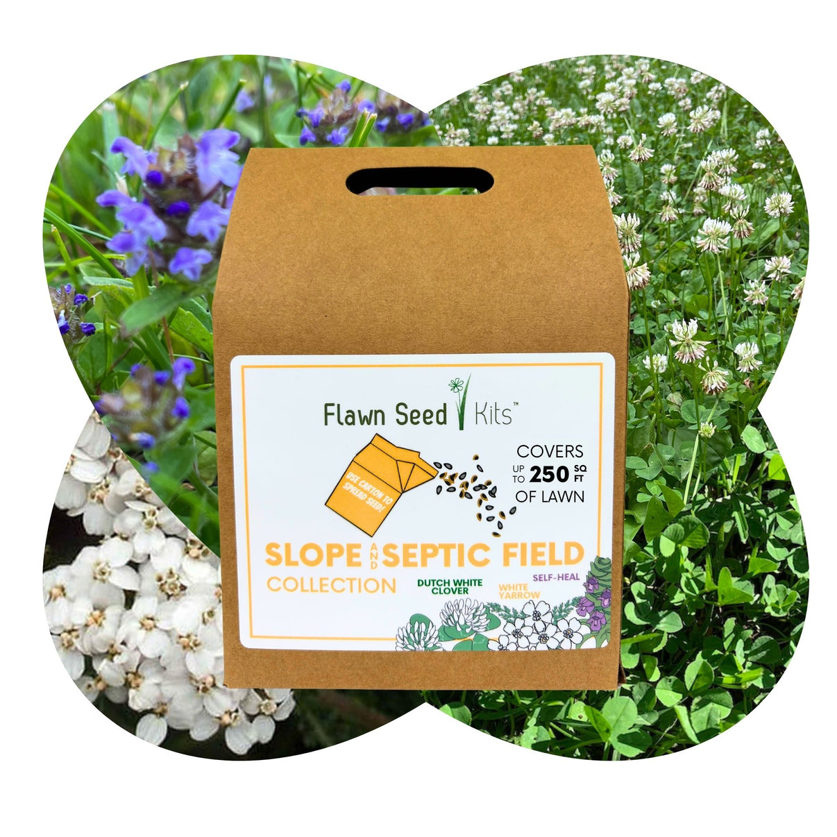 Flawn Seed Septic System Kit - Kid, Pet, & Pollinator Grass Alternative ...