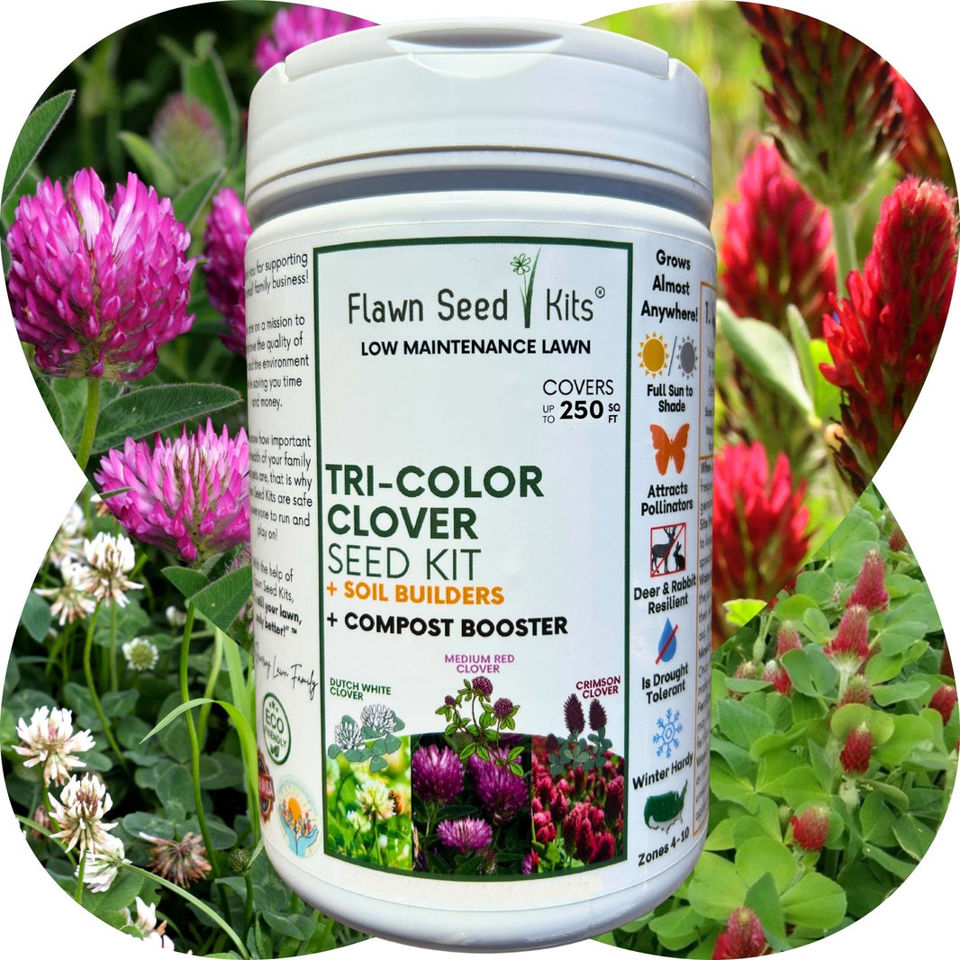 Flawn Seed Kits