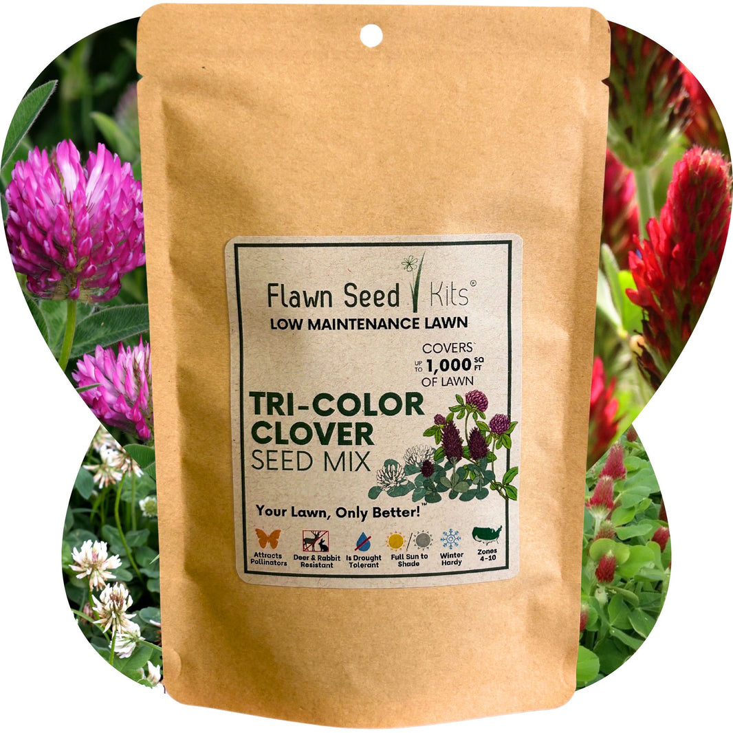 Flowering Lawn Flawn Seed Kits