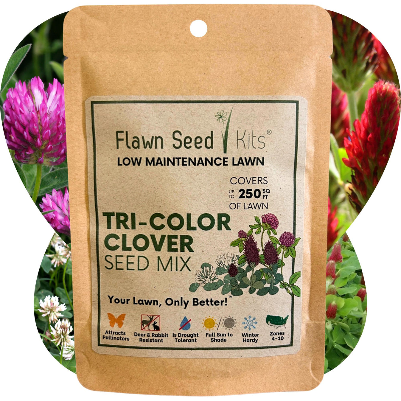 Flawn Seed Tri-Color Clover Mix Flowering Lawn Seed - Kid, Pet ...
