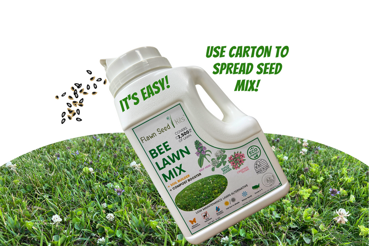 Flowering Lawn Flawn Seed Kits – FloweringLawn.com